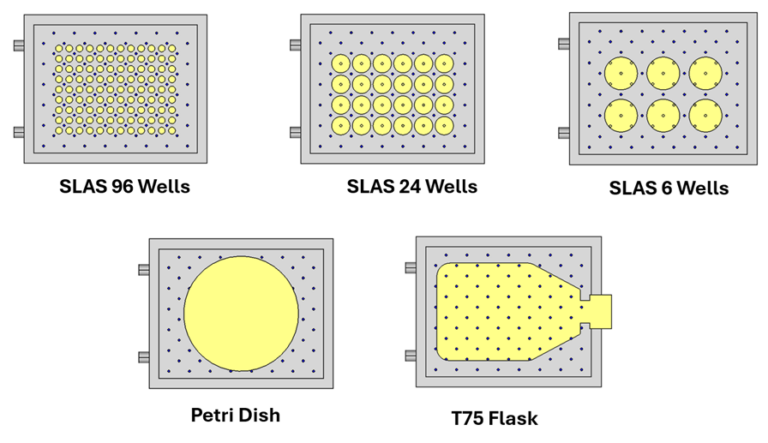 PhotoRedOx Box™ Plate - HepatoChem